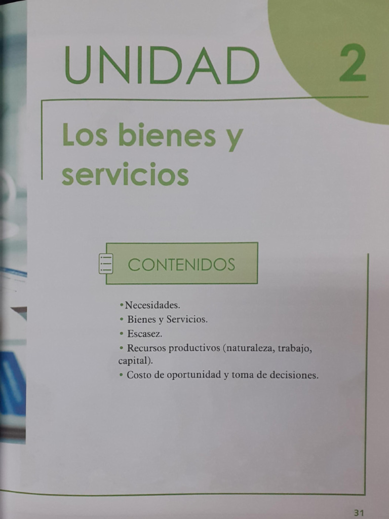 Bienes y Servicios | PDF