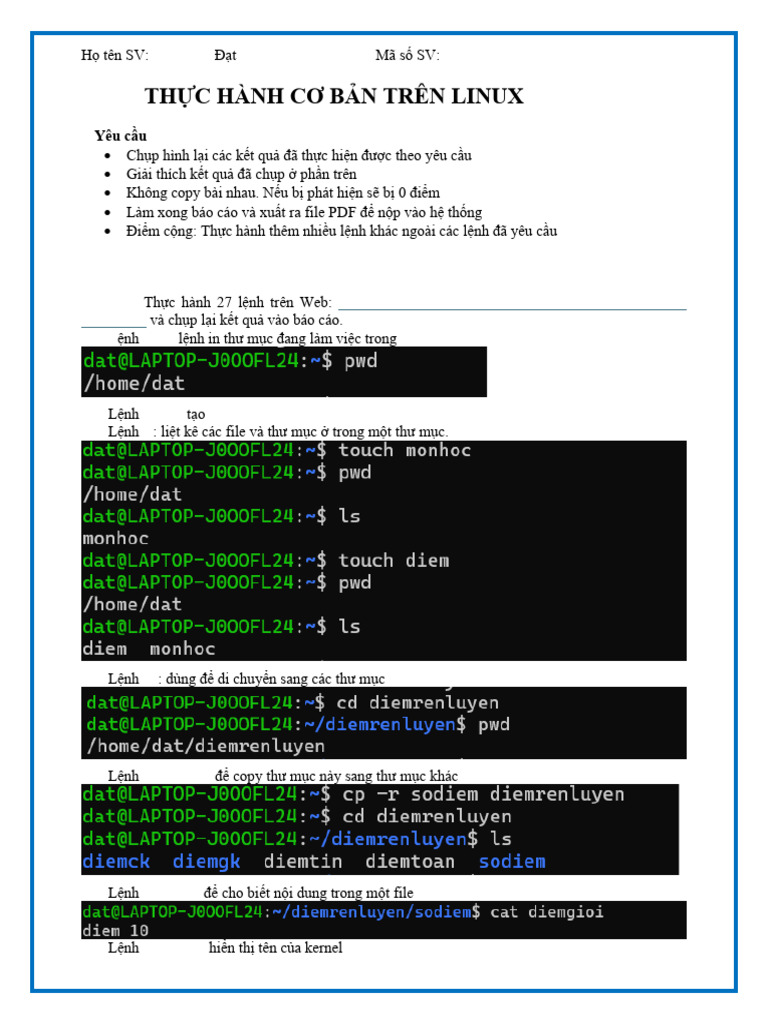 LeThanhDat 22200026 | PDF
