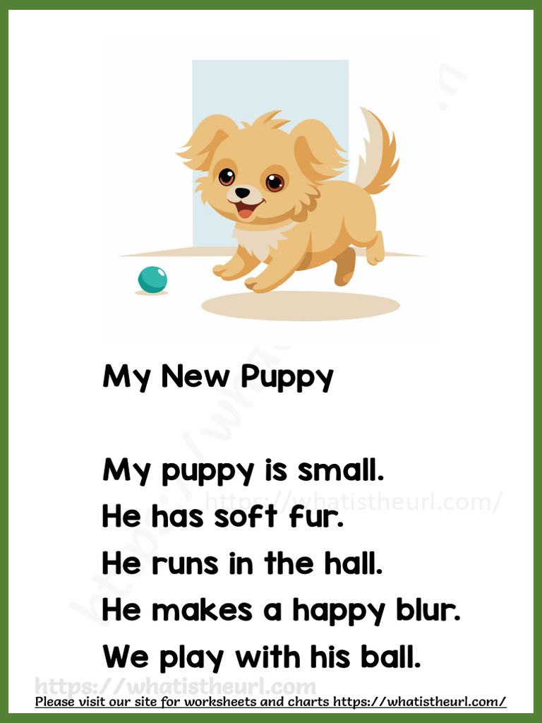 My New Puppy Small Reading Comprehension Passage | PDF
