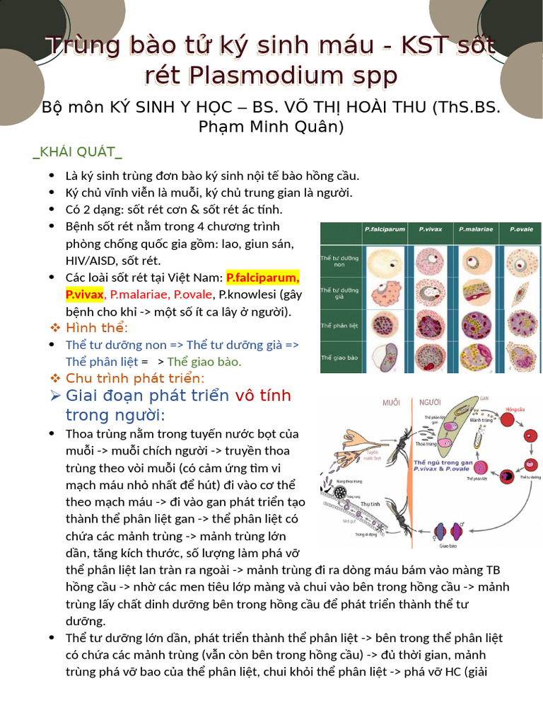 KST sốt rét Plasmodium spp | PDF