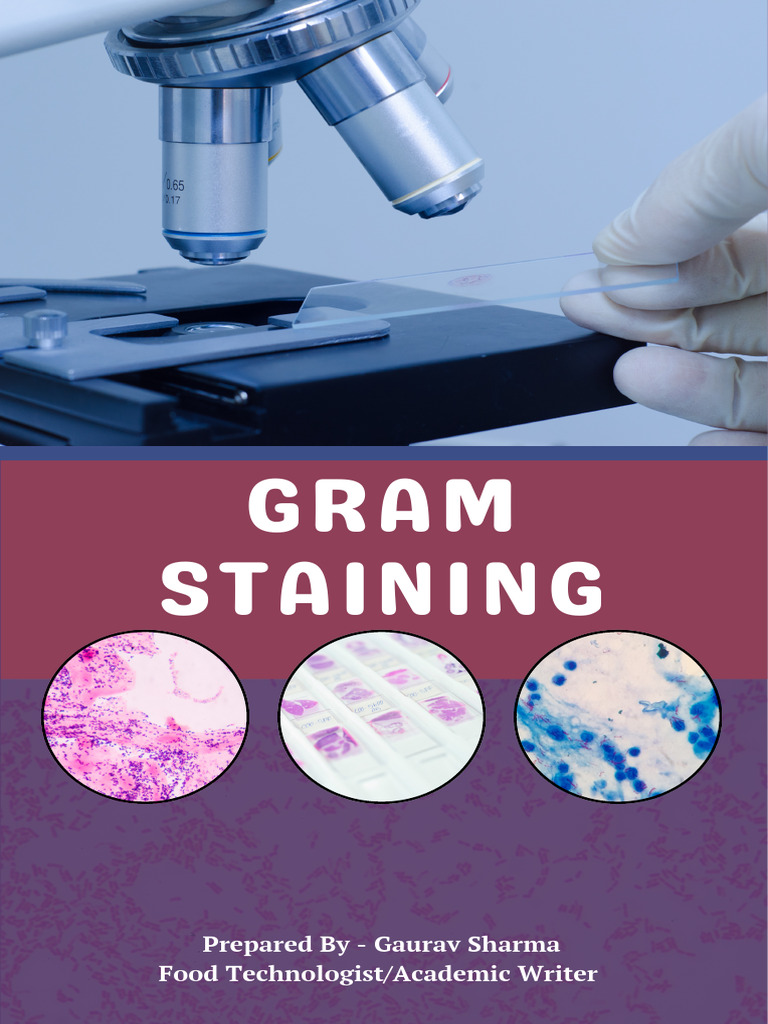 Gram Staining | PDF | Staining | Microbiology