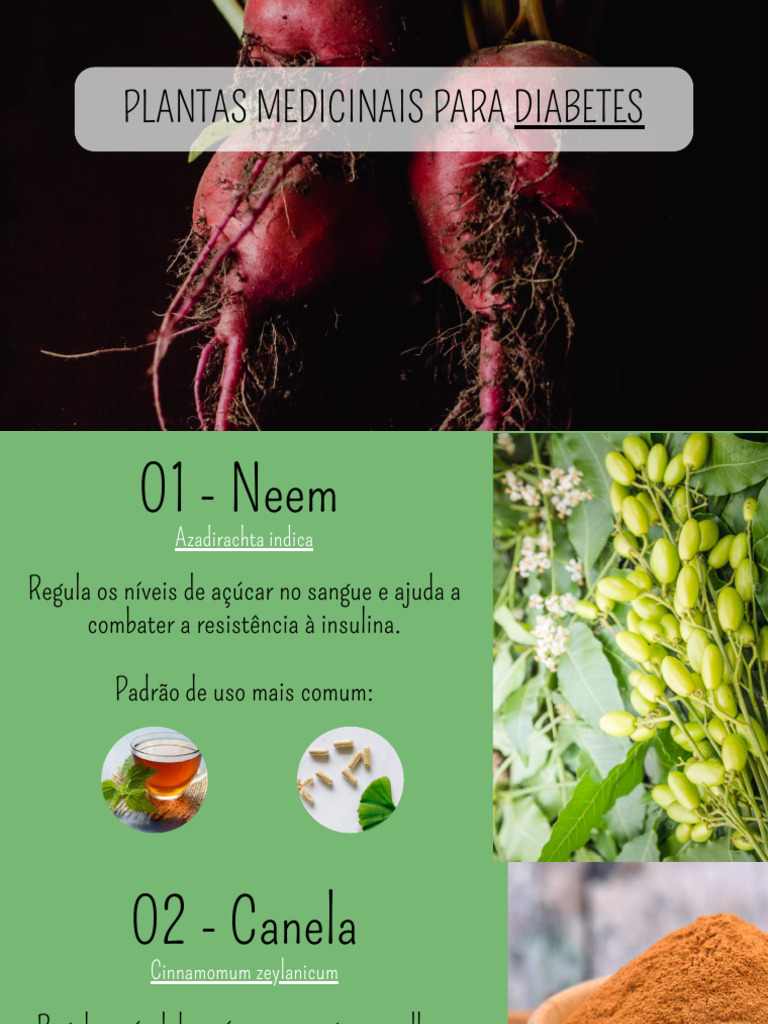 Plantas Medicinais para Diabetes | PDF | Funcho | Cravo