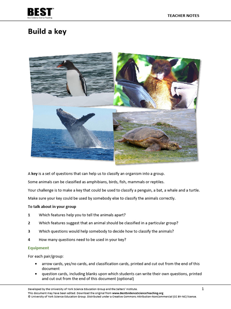 Build A Key (Group Project For Dichotomous Key 1) | PDF | Reptile | Zoology