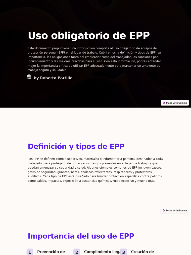 Uso Obligatorio de EPP | PDF