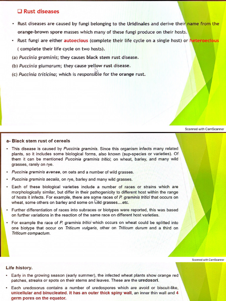 Plant Pathology Lec.6 (4) | PDF