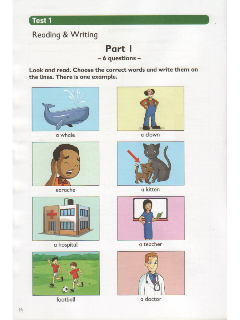 Movers 3 Practice Tests | PDF