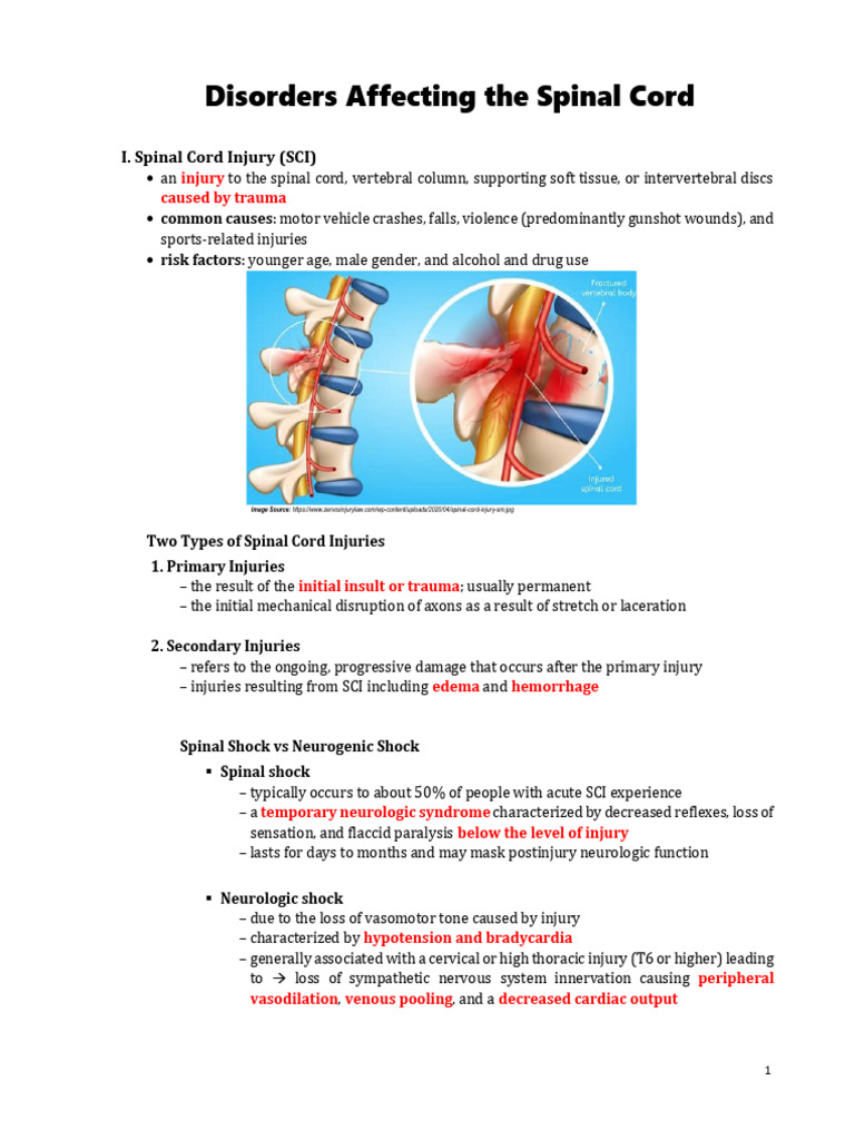 Lesson Disorders Affecting the Spinal Cord | PDF | Spinal Cord Injury ...
