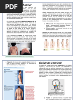 Test de Schober | PDF