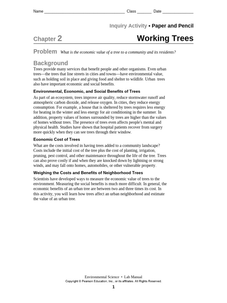 working trees | PDF | Trees | Physical Geography