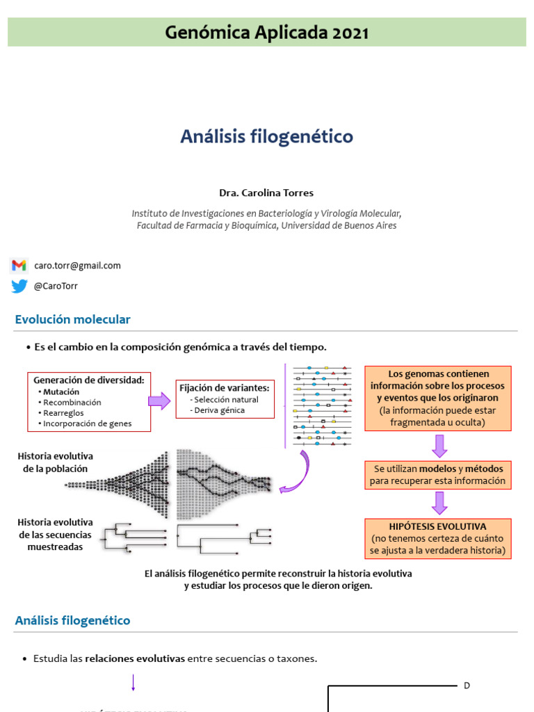 Analisis filogenetico-EpidemiologiaMolecular-CarolinaTorres-2021 | PDF ...