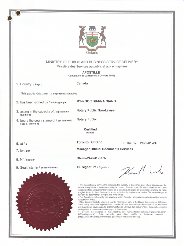 Apostilla Pension | PDF