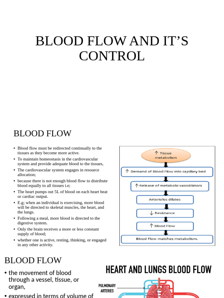 Blood Flow and It - S Control | PDF | Blood Pressure | Pulse