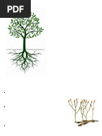 Raízes Adventícias: Exemplos e Funções | PDF | Raiz | Morfologia vegetal