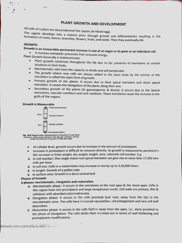Plant Growth and Development | PDF | Plant Hormone | Auxin