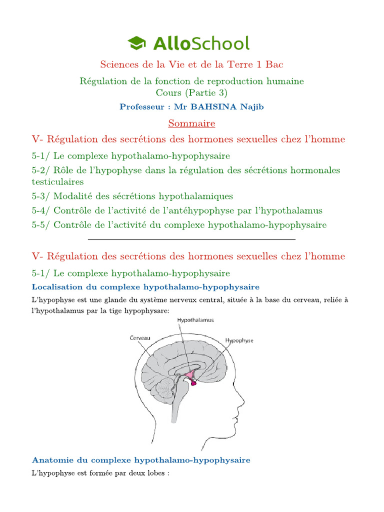 Regulation de La Fonction de Reproduction Humaine Cours Partie 3 2 | PDF