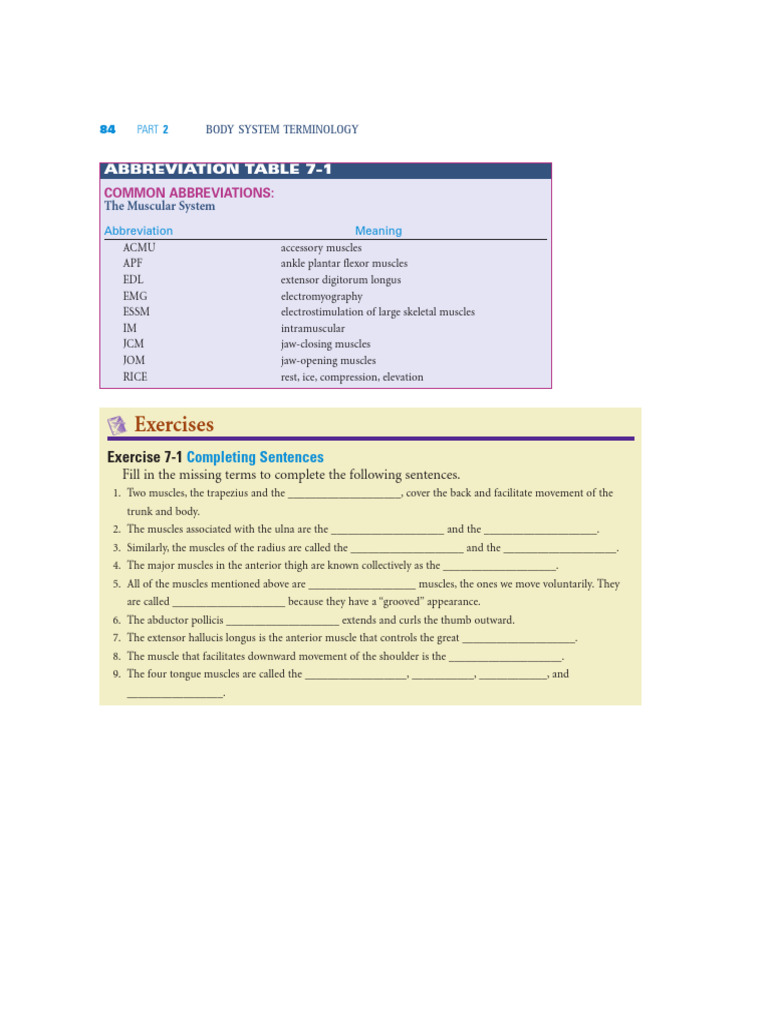 Chapter 7: Muscular System Overview | PDF | Human Leg | Anatomical Terms Of Motion