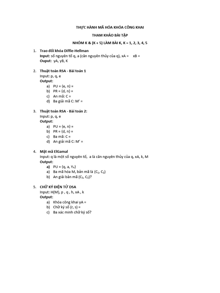 Yêu Cầu Thực Hành RSA DH ElGamma | PDF