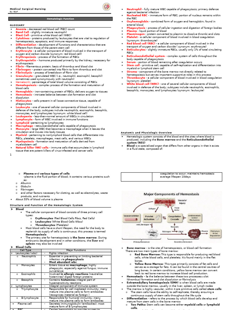 Hematologic Function in Nursing | PDF | White Blood Cell | Granulocyte