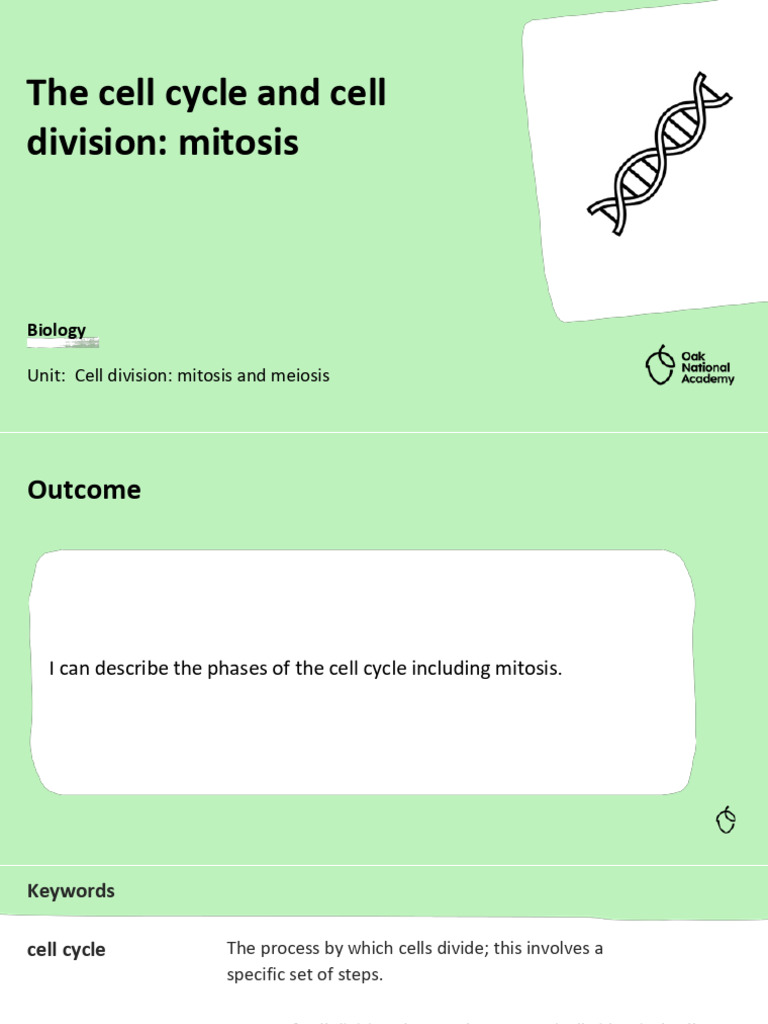 Stages of the Cell Cycle and Mitosis | PDF | Mitosis | Cell (Biology)