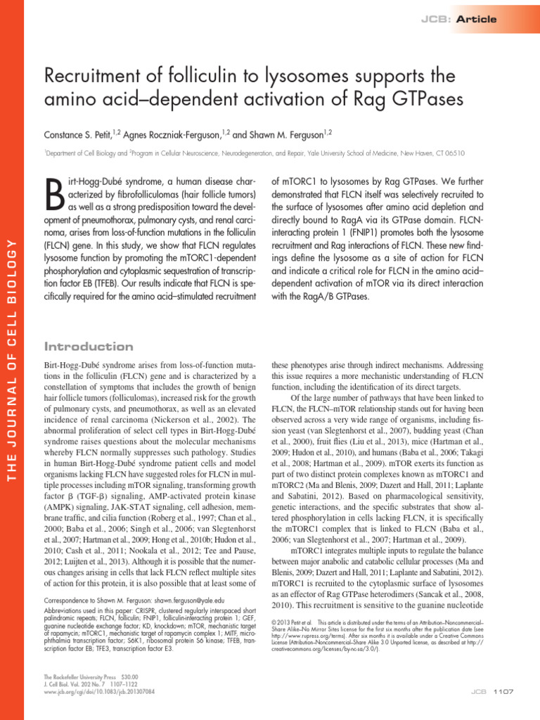 Recruitment of Folliculin To Lysosomes | PDF | Life Sciences | Proteins