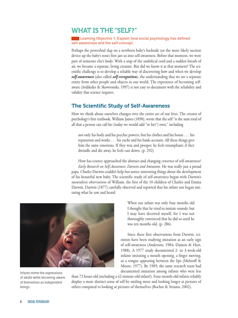 The Self | PDF | Self Concept | Self Awareness