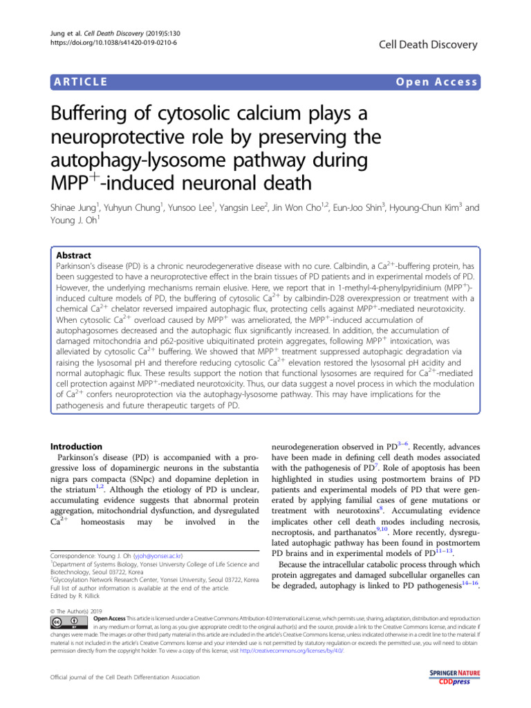 Buffering of cytosolic calcium plays a neuroprotective role | PDF ...