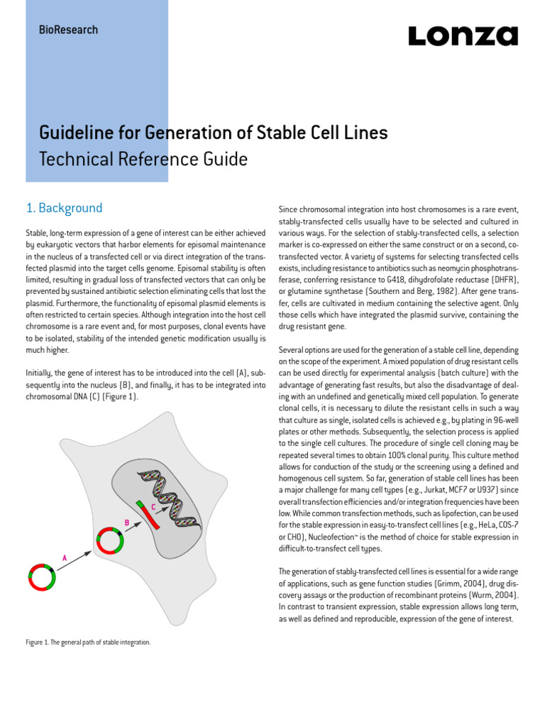 Guideline For Generation of Stable Cell Lines: Technical Reference ...