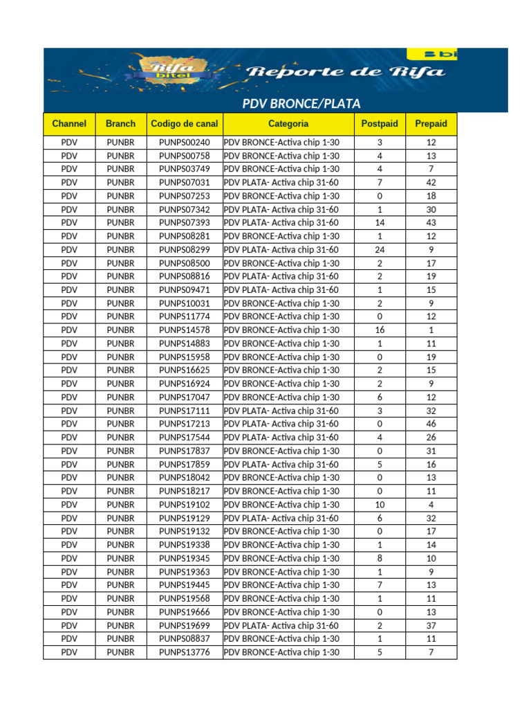 PDV Activation Data: Bronze & Silver | PDF