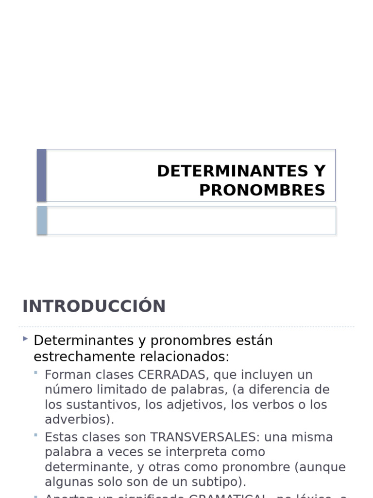 Determinantes y Pronombres | PDF | Pronombre | Numero Gramatical