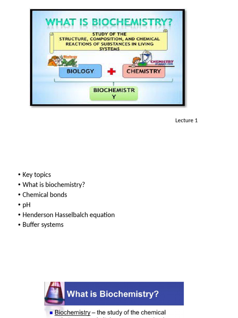 Presentation1 1 1 | PDF