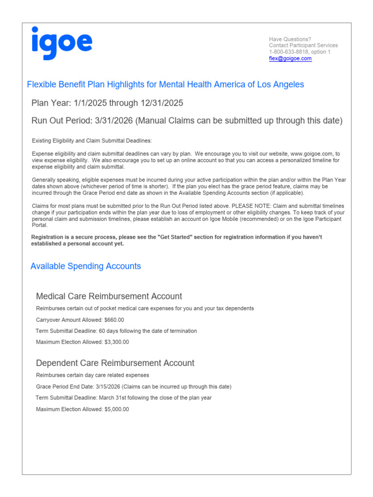 2025 Igoe Health and Dependent Care FSA Plan Highlight | PDF