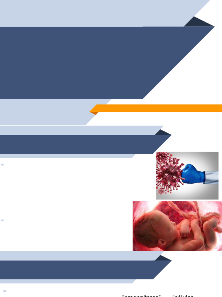 SLIDES AULA 01 Imunologia | PDF | Glóbulo branco | Sistema imunológico