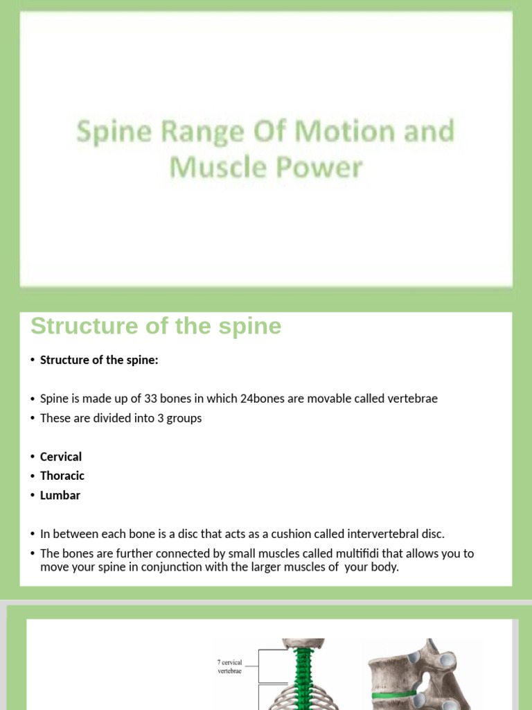 Spine Range of Motion and Muscle Power (SAVED) | PDF | Anatomical Terms ...