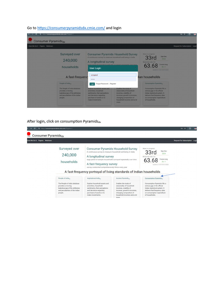 Steps To Extract Consumer Pyramid | PDF