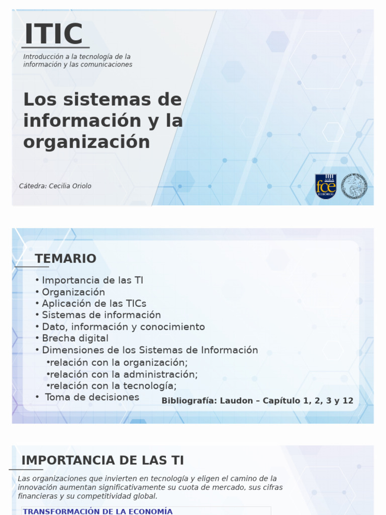 2 - Los Sistemas de Información y La Organización | PDF | Sistema de informacion | Planificación