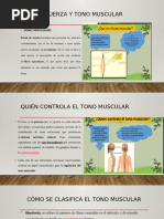 Tono Muscular | PDF | Músculo esquelético | Contracción muscular