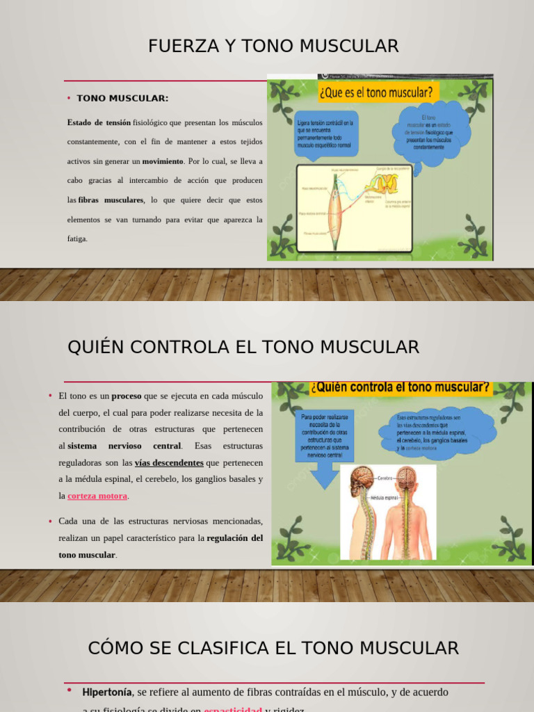 Evaluación del Tono Muscular y Control | PDF | Músculo | Distonia