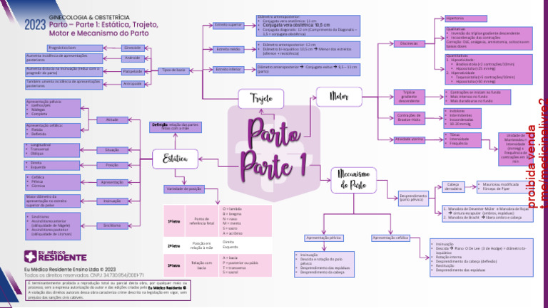 Extensivo - Parto - Parte 1 - Mapa Mental | PDF | Parto | Saúde materna