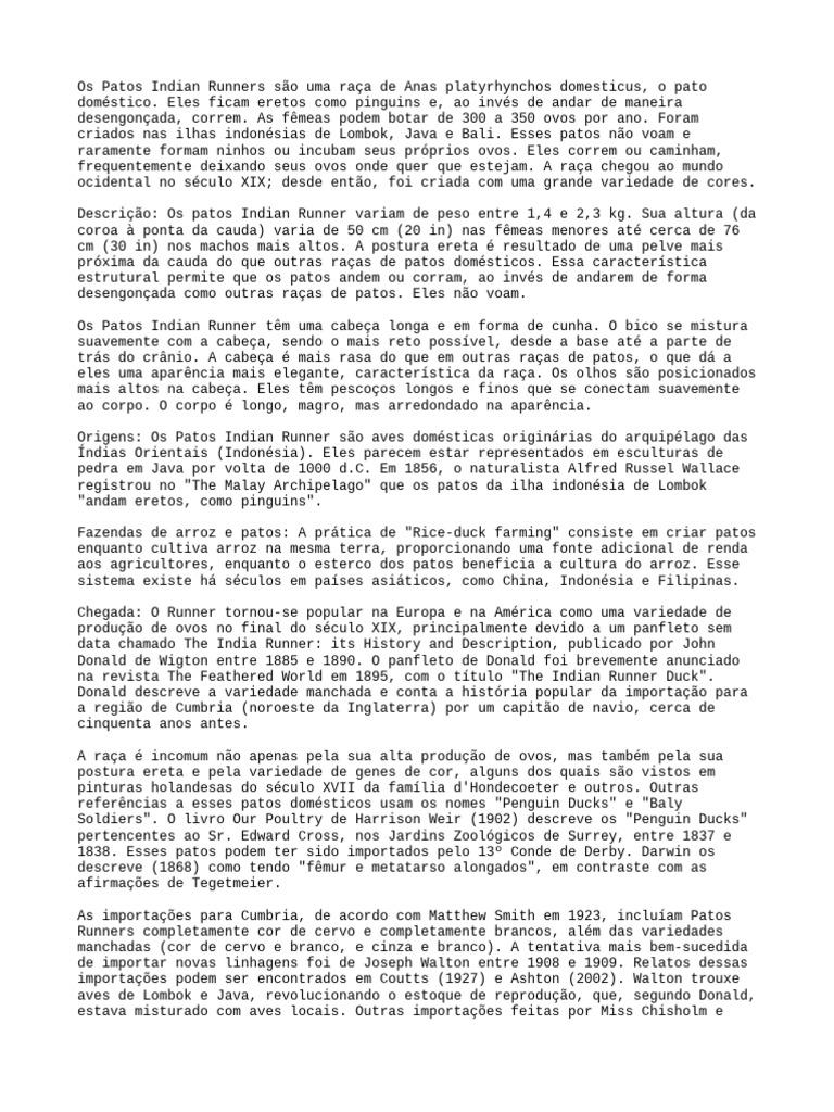 Características dos Patos Indian Runner | PDF | Pato | Aves