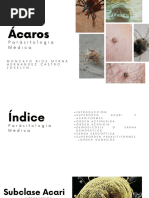 Ácaros del polvo: Dermatophagoides y Euroglyphus | PDF | Alergia