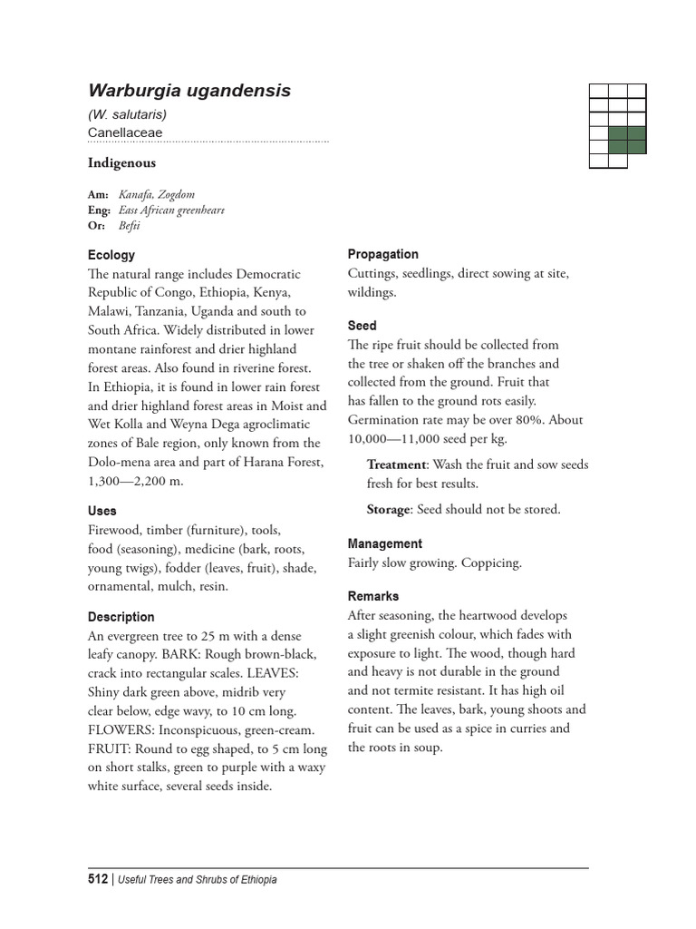 East African Greenheart Tree Overview | PDF