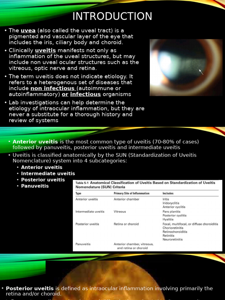 Non Infectious Posterior Uveitis | PDF | Retina | Diseases And Disorders
