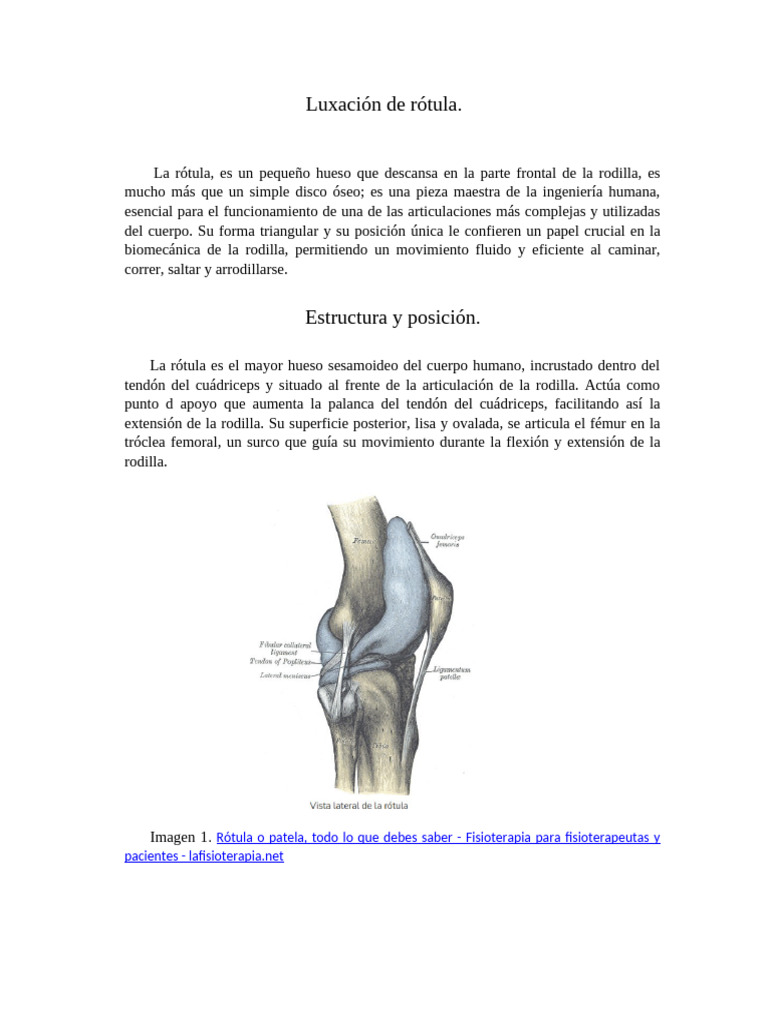 Luxación de rótula: anatomía y función | PDF | Rodilla | Anatomía del ...