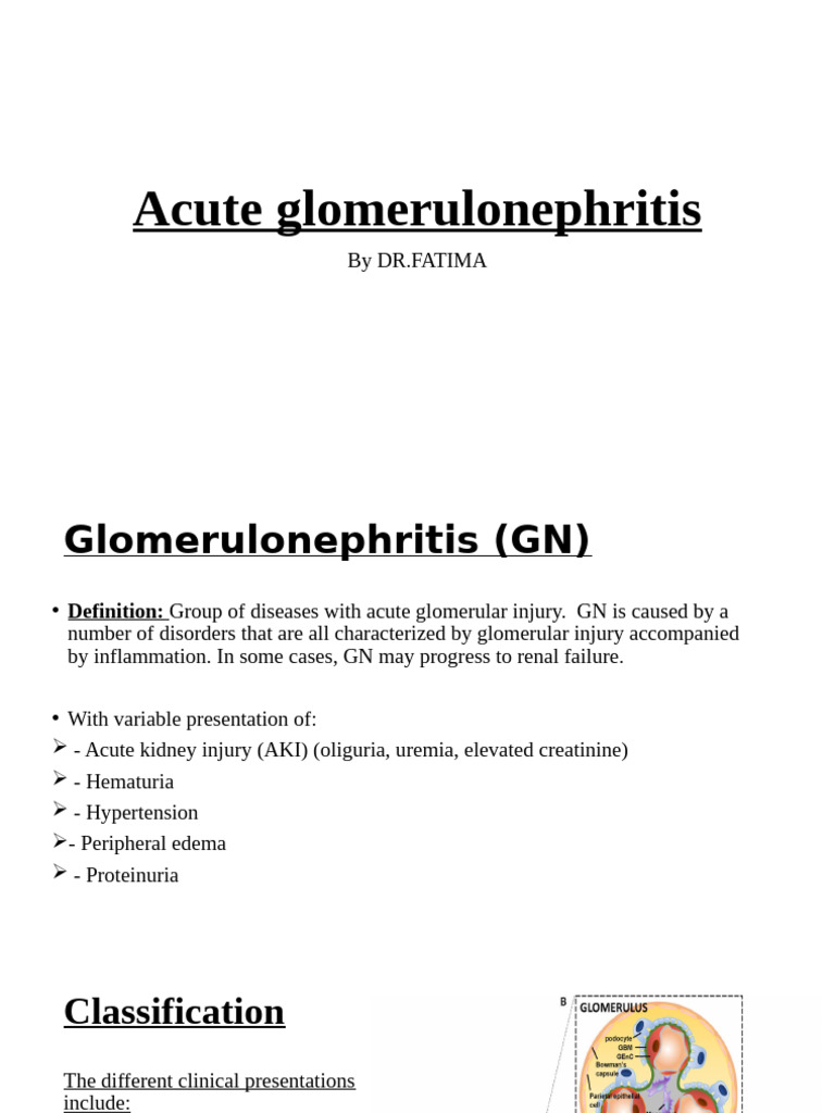 Acute Glomerulonephritis | PDF | Kidney | Nephrology
