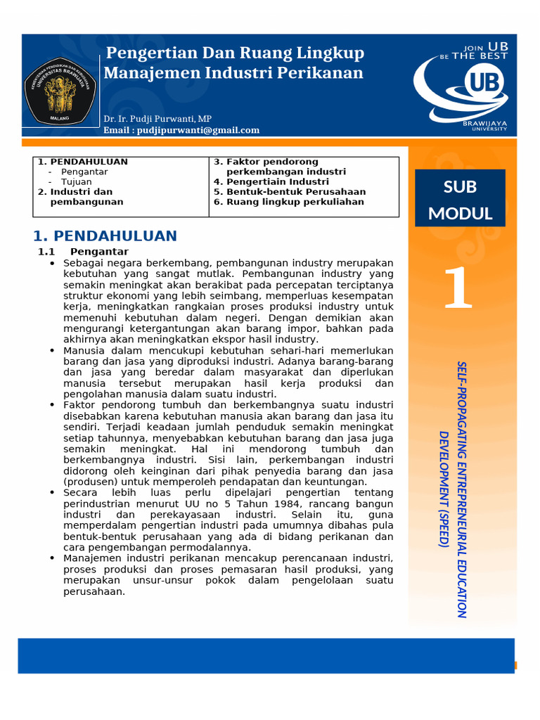 Pengertian Dan Ruang Lingkup Mip | PDF