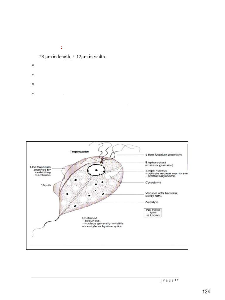 Para Practical Reproduction - 240917 - 031214 - 250321 - 111532 | PDF