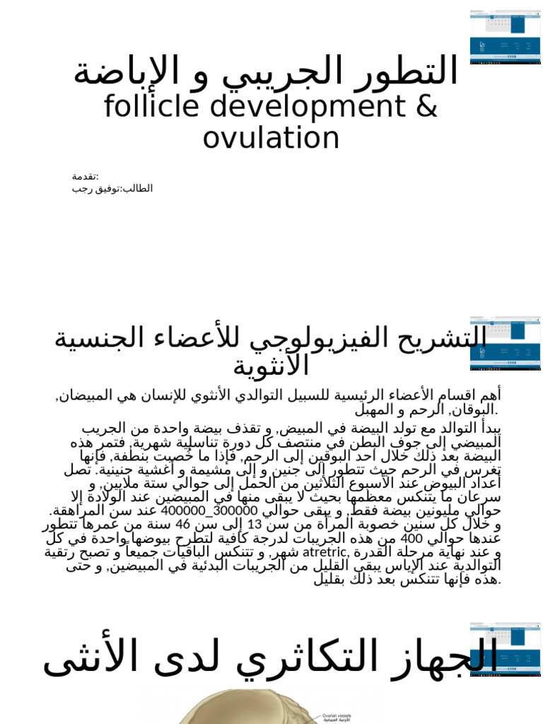 Follicle Development & Ovulation | PDF