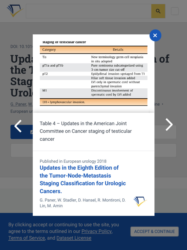 Eighth Edition Updates: Urologic Cancer Staging | PDF