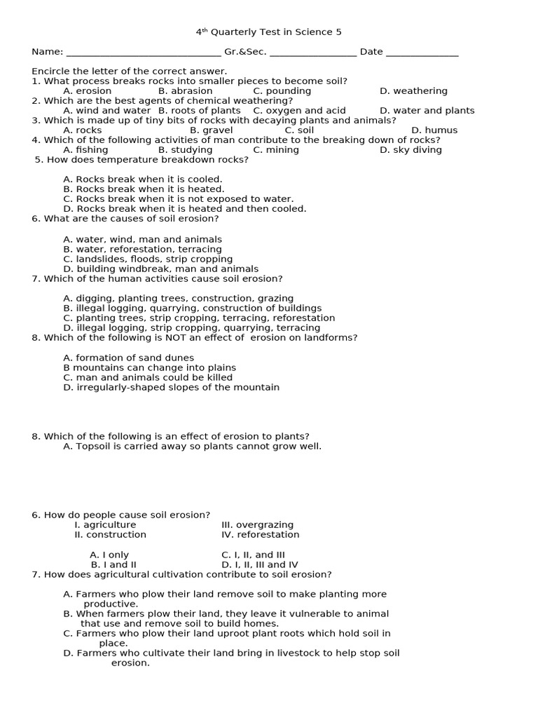 PT - EPP 5 IA - Q4 (AutoRecovered) | PDF