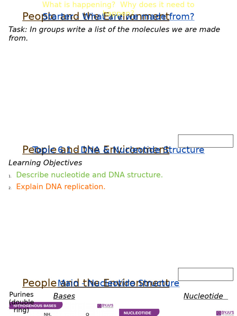 6.1 - Structure of Nucleic Acids and Replication of DNA (2) | PDF